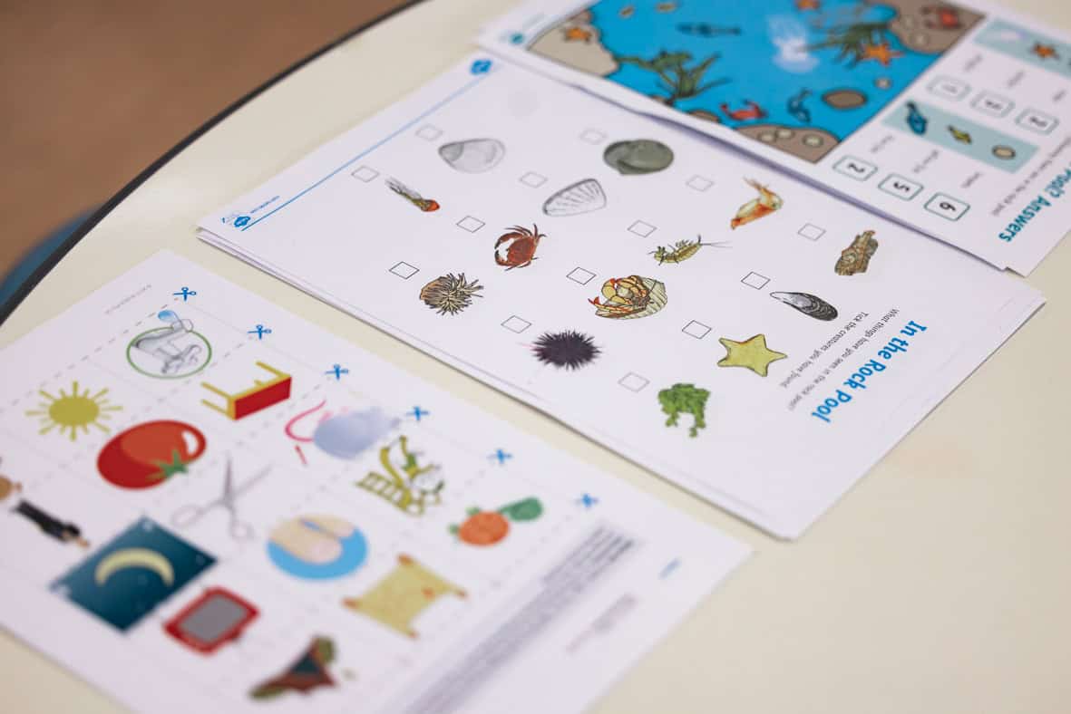 English as an Additional Language Support at SJIS